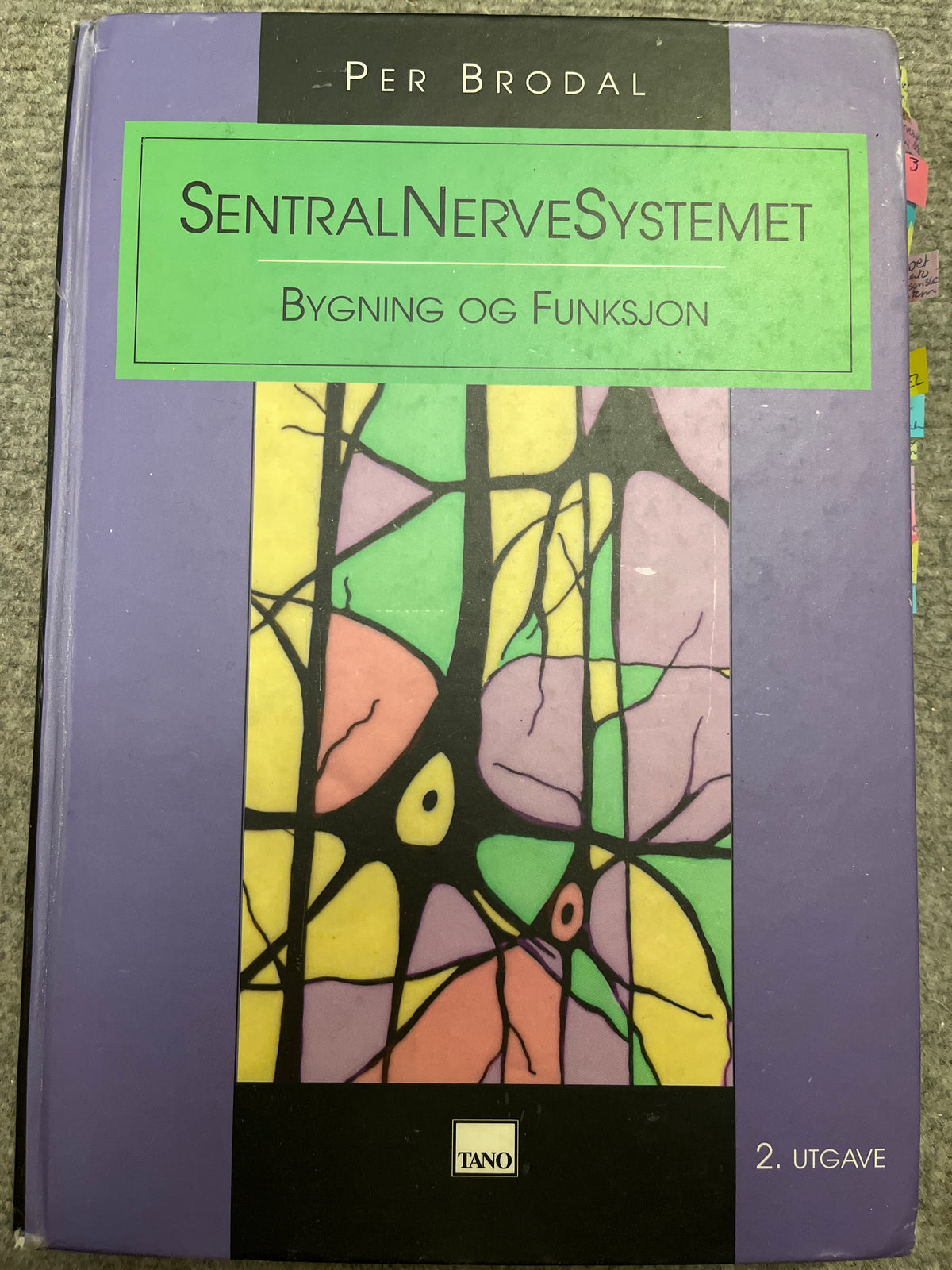 Sentralnervesystemet : bygning og funksjon | Bokia.no