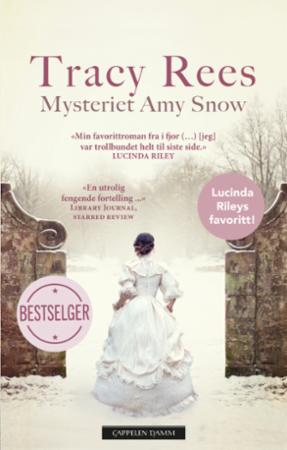 Innbundet - Mysteriet Amy Snow - Tracy Rees